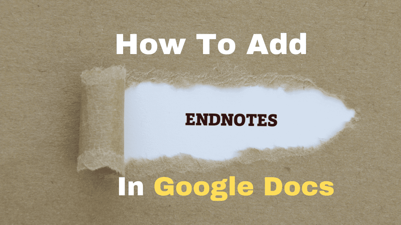 How To Do Endnotes And Footnotes In Google Docs 2022 With Video Guide 